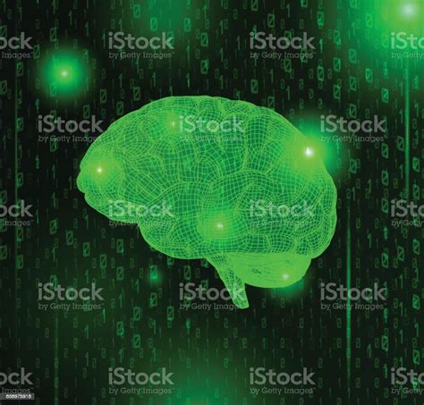 이진 숫자 텍스트 Bg와 녹색 와이어 프레임 뇌 3차원 형태에 대한 스톡 벡터 아트 및 기타 이미지 3차원 형태 개념과 주제 교육 Istock
