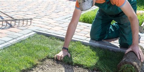 The Best Time To Lay St Augustine Sod In Texas Gfl Outdoors