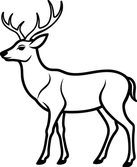 Deer Outline On White Background 53654685 Vector Art At Vecteezy