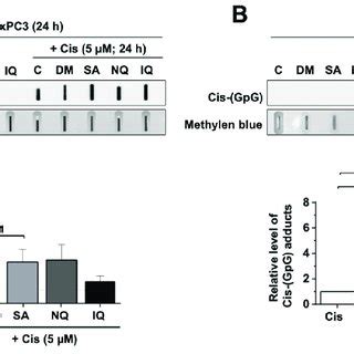 Influence Of NC On The Formation Of DNA Intrastrand Crosslinks ICL