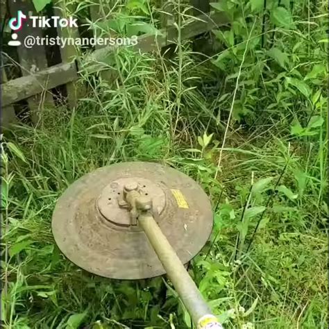 Tik Tok Tall Grass Youtube