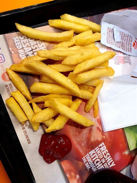 햄버거 프렌차이즈 4대장 감자튀김 대결 인스티즈instiz 이슈 카테고리