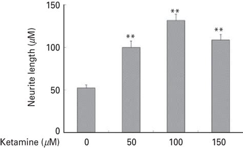Effects Of Ketamine On Dendritic Outgrowth In Hippocampal Neurons In