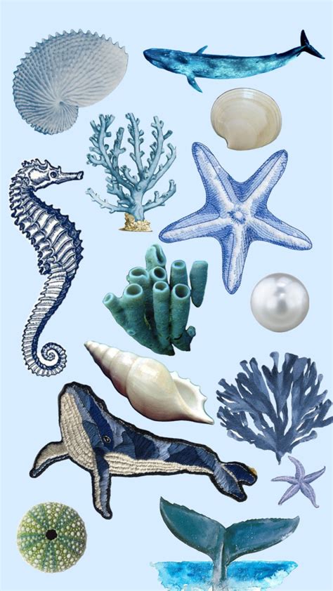 Check Out Aestheticsevas Shuffles Ocean Oceanaesthetic Wallpaper