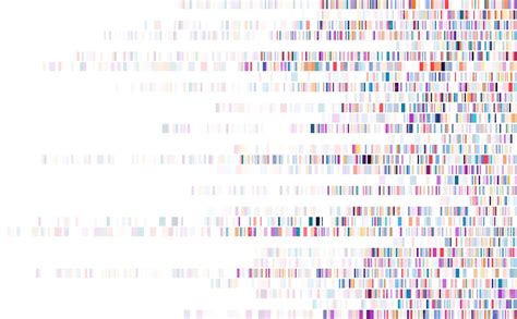 Premium Vector Dna Test Infographic Genome Sequence Map