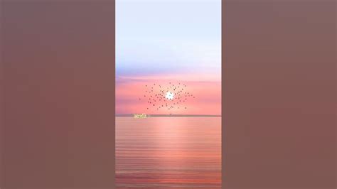 জুম্মা দিন যদি ঘুম ঘুম লাগে🥰 ️ Islamic Islmicshorts Islmicspeech