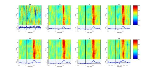 P300 Event Related Potentials Mentalab