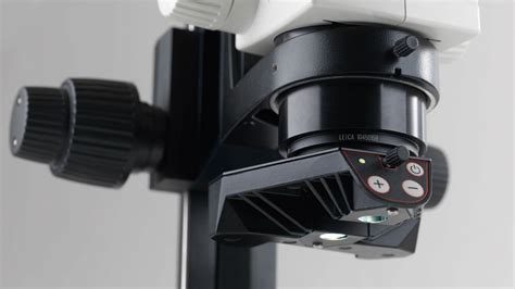 Dissecting Microscope Examples