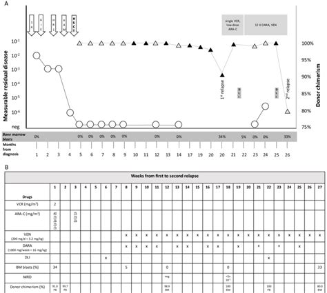 Treatment Course Of A Patient With With Kmt2amllt4 Positive Mixed