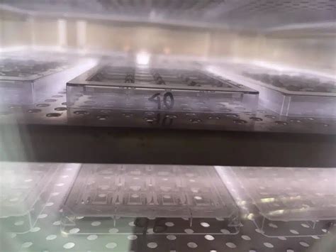 The Benefits Of Polycarbonate Surface Modification Using Plasma