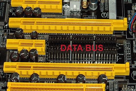 what are the processing devices of the computer tpoint tech