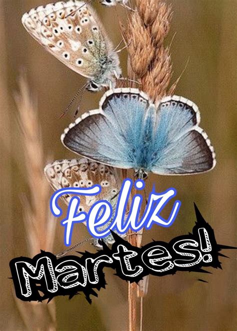 Martes Happy Quotes Spanish Inspirational Quotes Happy Week