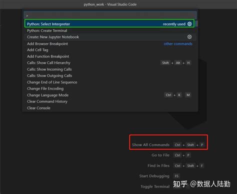 如何在 Vscode 中配置 Python 的交互式命令环境？ 知乎