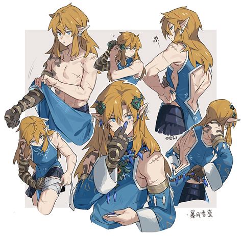 Leopardtiger Link Nintendo The Legend Of Zelda The Legend Of Zelda