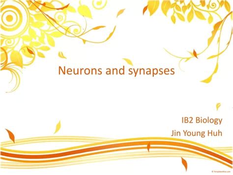 Ppt Neurons And Synapses In The Nervous System Powerpoint Presentation Id 9531249
