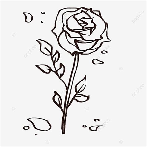 Dibujo De Dibujos Animados Rosas Doradas PNG Dibujos Rosa Rosa Dorada