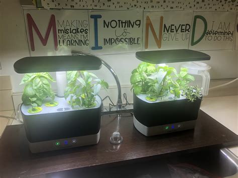 Mini Hydroponic Growing Systems Pv School District Foundation