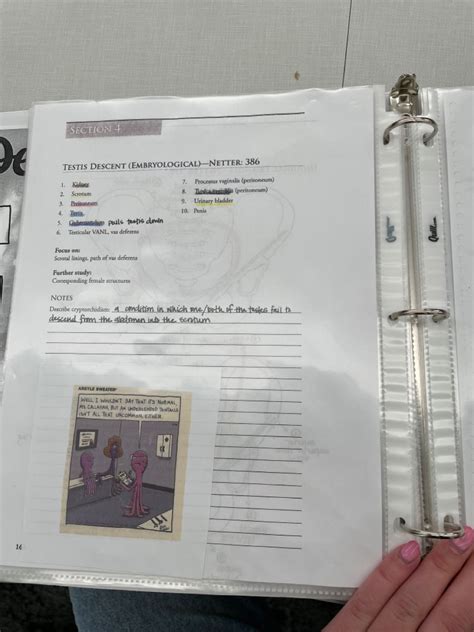Field Trip Binder Artofit