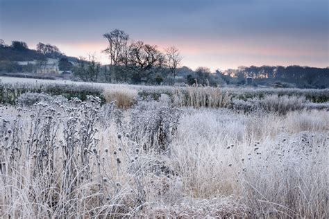 Piet Oudolf Field Winter Jason Ingram Bristol Photographer Of Gardens Food People