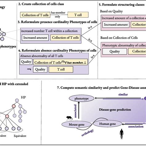 This Figure Presents Examples Of A Potentially Incorrect Inference Download Scientific Diagram