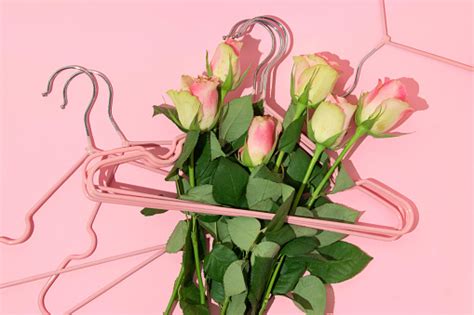 파스텔 핑크 배경에 분홍색 장미와 옷걸이가 있는 봄의 창의적인 낭만적인 레이아웃 80년대 또는 90년대 복고풍 패션 미적 사랑