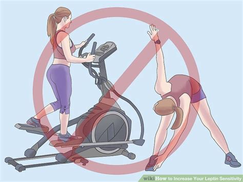 3 Ways To Increase Your Leptin Sensitivity WikiHow Health