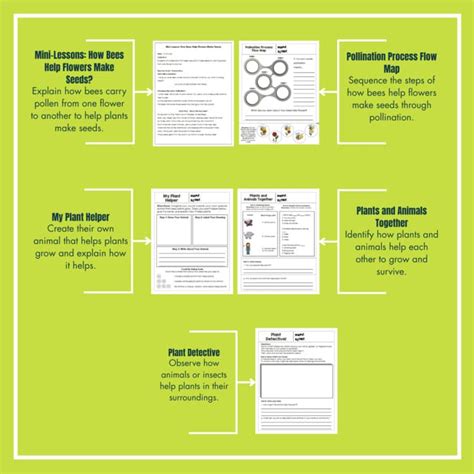 Interdependent Relationships In Ecosystems Pollination And Seed Dispersal
