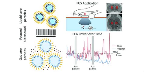 Liquid Nanoparticles Composed Of Biodegradable And Biocompatible