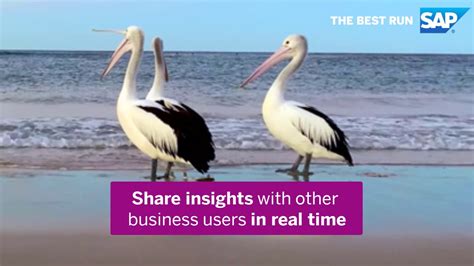 Sap On Linkedin Sap Analytics Cloud For Business Intelligence