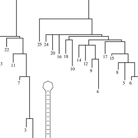 Example Of A Barrier Tree For The Folding Energy Landscape Of A