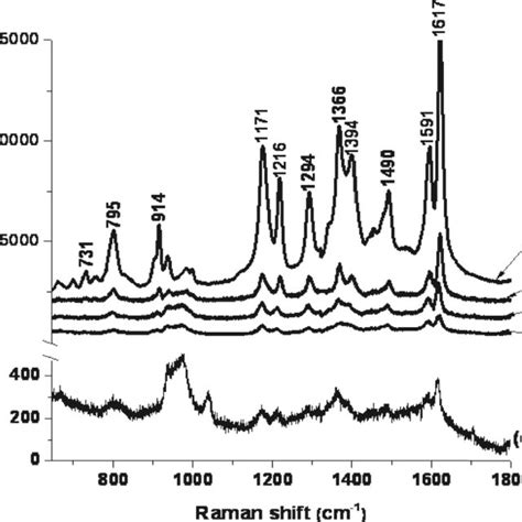 Raman Spectra Of The Identical Agnpsoa Sinw Samples Which Have Been