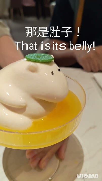 可愛的卡皮巴拉 Cute Capybara Youtube