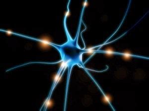 Litzys English Blog Your Brain Has Autocorrect