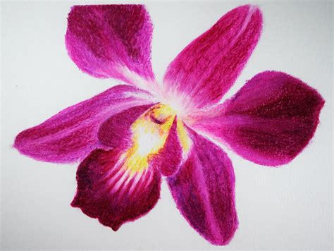 Rose Flower Oil Pastel