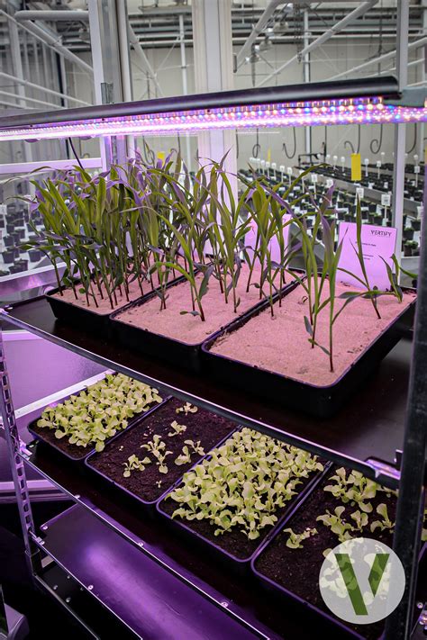 Vertify Seed Meets Technology