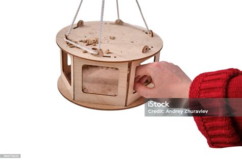 흰 배경에 고립 된 눈 덮인 나무에 겨울 숲에서 새들을위한 기장 피더 새 모이통에 대한 스톡 사진 및 기타 이미지 새 모이통