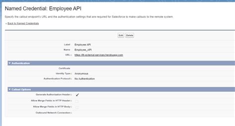 How To Use External Services In Salesforce A Step By Step Guide