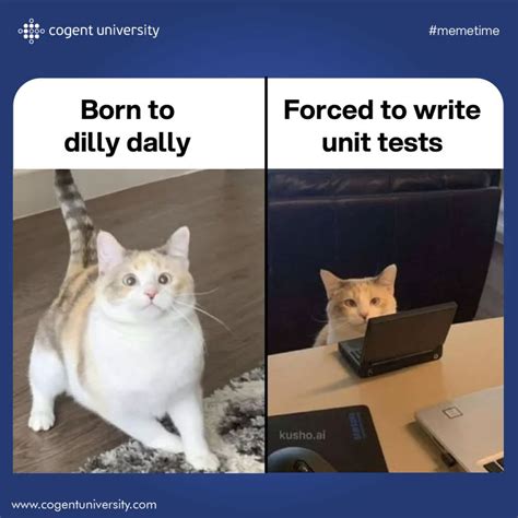 Programmerhumor Programmer Programmerlife Programming