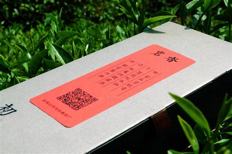 荐好茶 初见·岩沓：带你探寻岩骨花香的奥秘