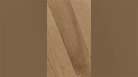 ירמי קפלן Youtube