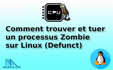 Comment Trouver Et Tuer Un Processus Zombie Sur Linux Defunct