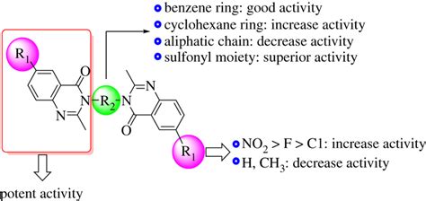Illustration Of The Structural Activity Relationship Of The Designed Download Scientific