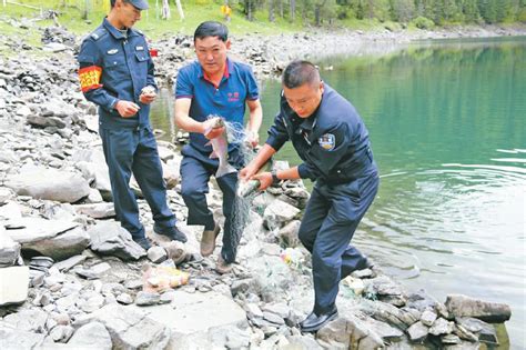 保护高原湿地 他们在行动 第08版基层 20221122期 四川法治报