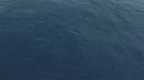 【釣行記】沖ノ島 2日目 尾長グレ狙いのフカセ釣り 東のハナで見える魚を掛けれるか？
