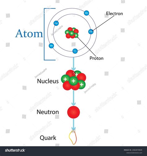 String Theory Diagram Schematic Atom Quark Stock Vector Royalty Free
