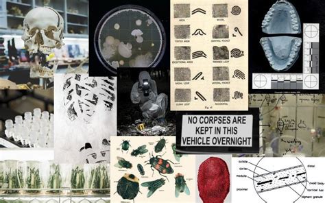 Forensic Science Wallpaper In Forensics Cute Wallpapers Iphone Wallpaper
