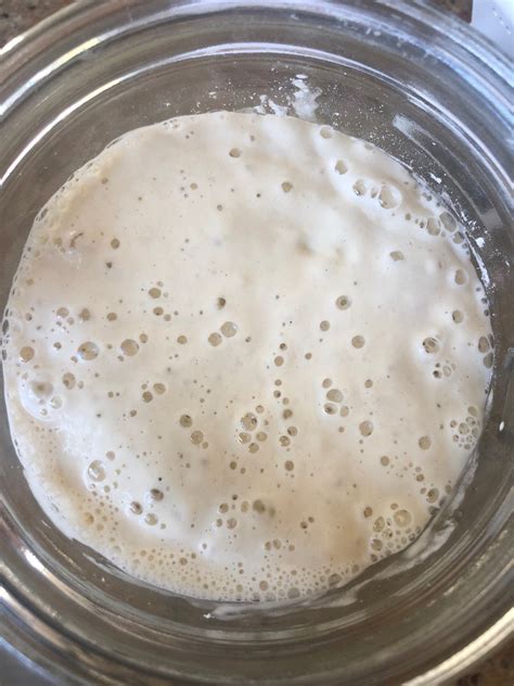 Artisan Sourdough Starter Etsy