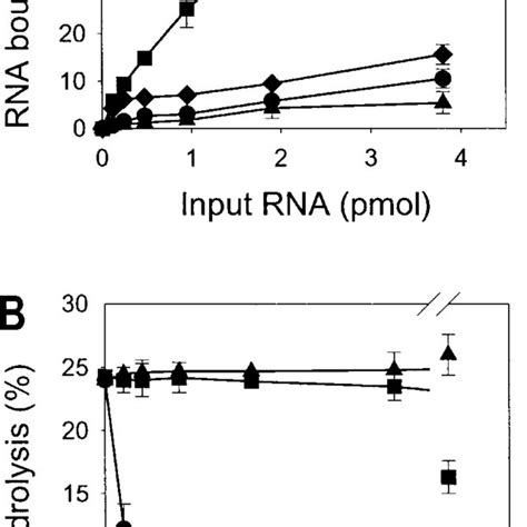 Differential Rna Binding And Activation Of Human Eif4a A Rna Binding