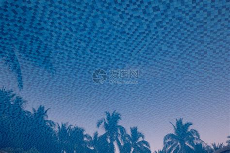 椰子棕榈树倒影在游泳池的蓝色马赛克瓷砖上日出黎明时间创意热带高清图片下载 正版图片504002227 摄图网