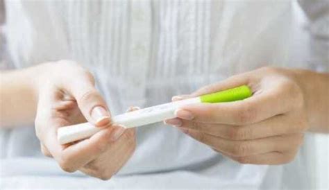 Best Ovulation Tests UK Mumsnet